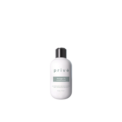 Damage Fix Conditioner | Repair & Hydrate Damaged Hair – privé products pro