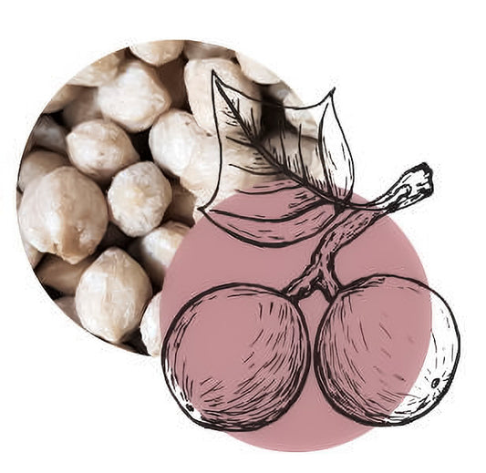 Damage Fix Shampoo | Repair & Strengthen Damaged Hair – privé products pro