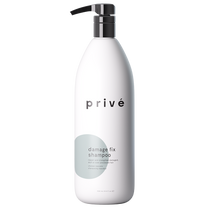 Damage Fix Shampoo | Repair & Strengthen Damaged Hair – privé products pro